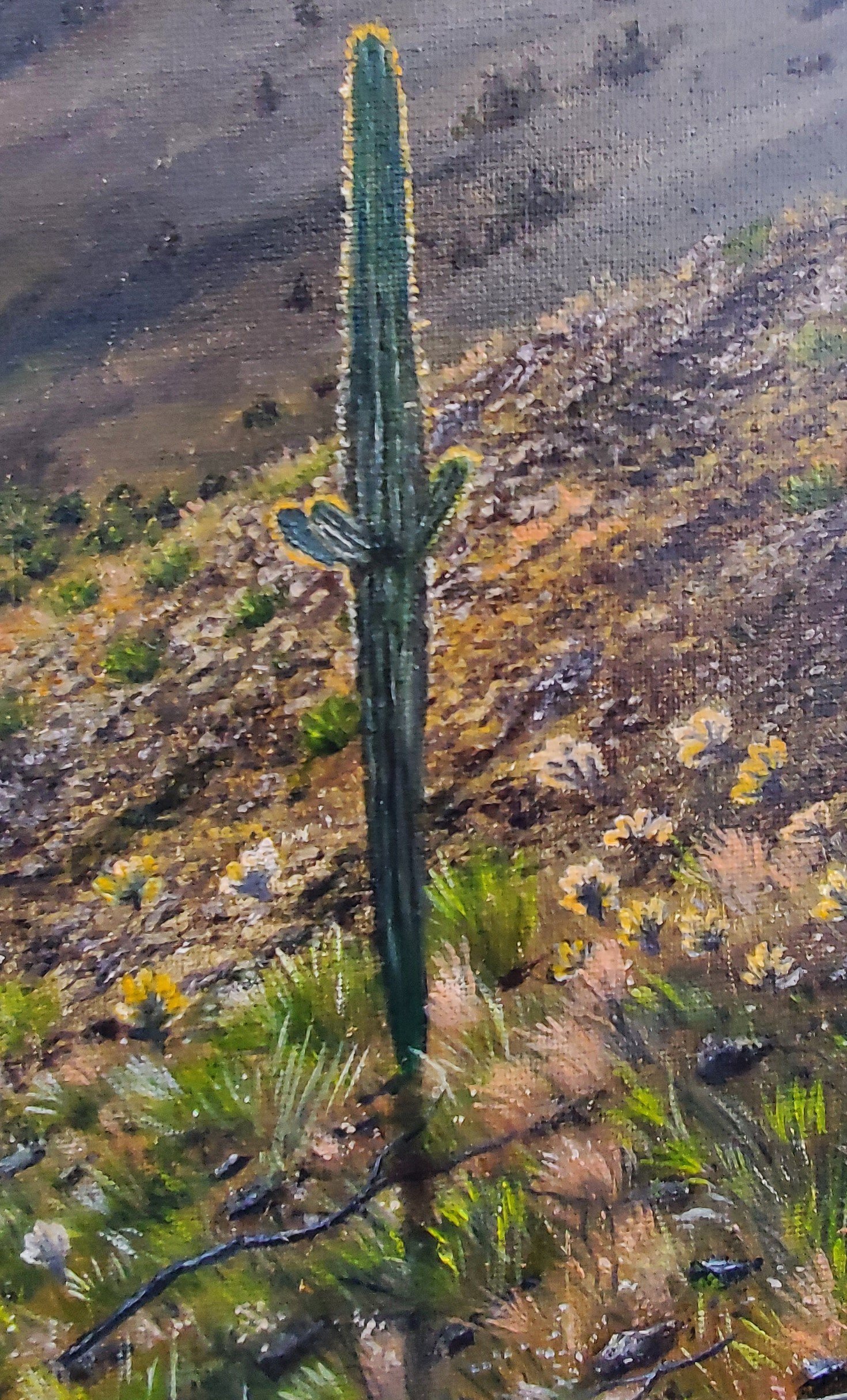 Arizona Cactus Sunset Oil Painting On Canvas - Original Oil painting on ...