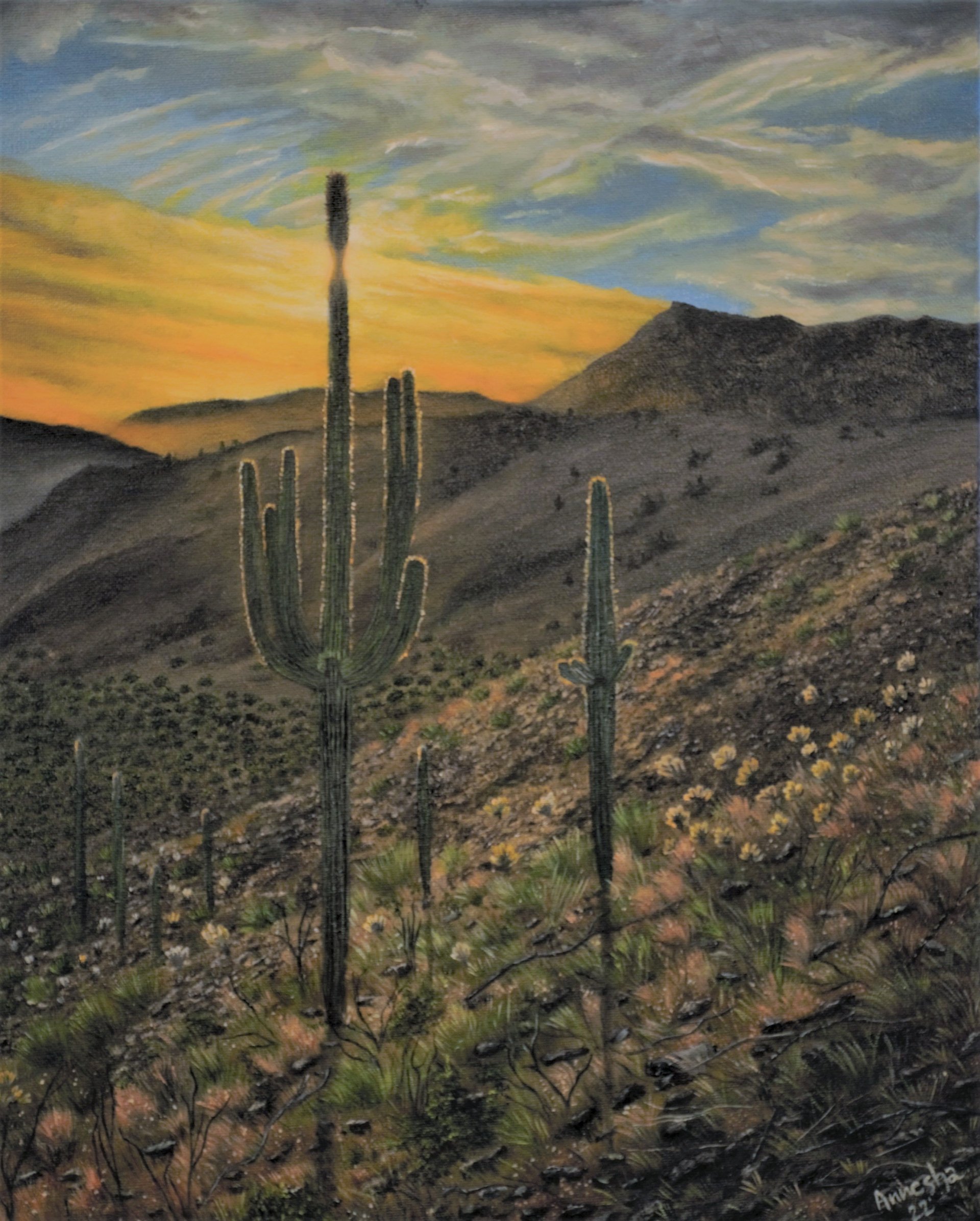 Arizona Cactus Sunset Oil Painting On Canvas - Original Oil painting on ...